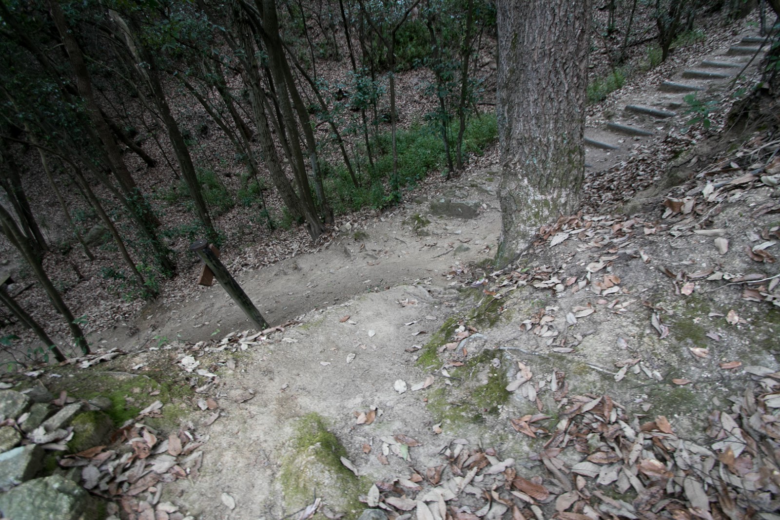 Niitakayama Castle -Intellectual pillar of Mouri clan (2)- | Japan ...