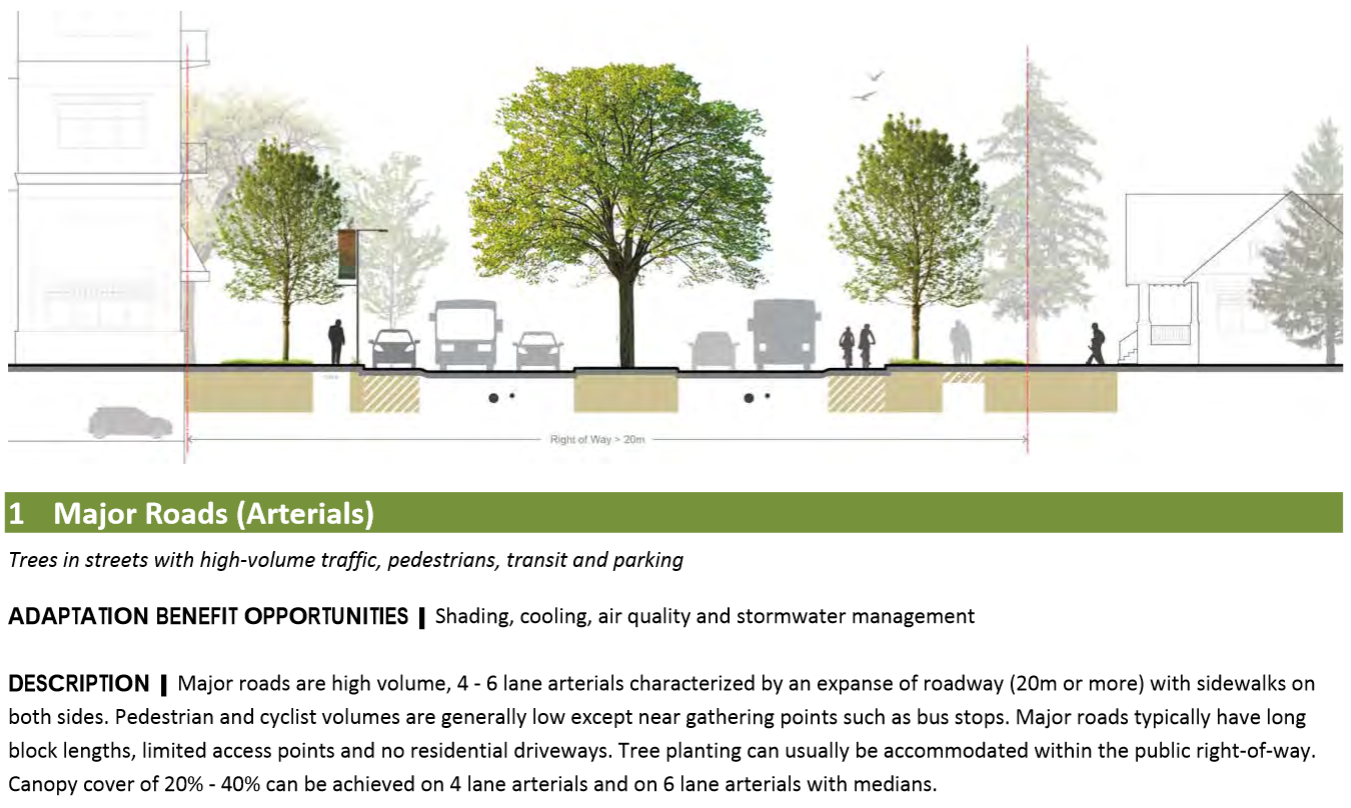 The South Fraser Blog: A healthy urban forest is one of the keys to ...