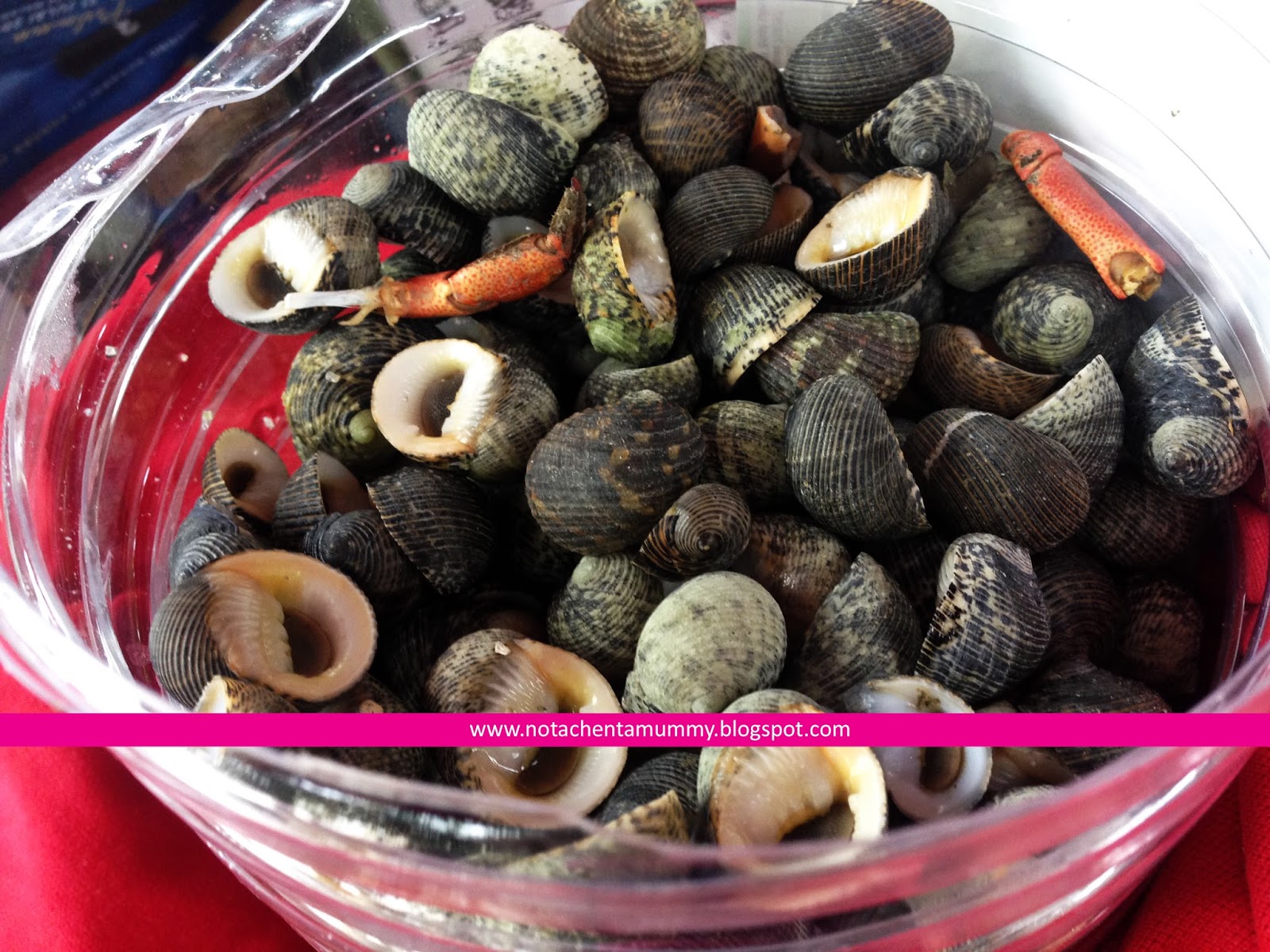 Pulau Nangka Melaka , Pulau Harta karun yang penuh misteri - PART 2 ...