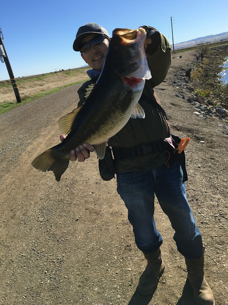 FISHING JAPANESE STYLE