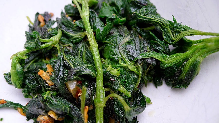 Simply Homemaking: Stinging Nettles - a springtime gold mine!