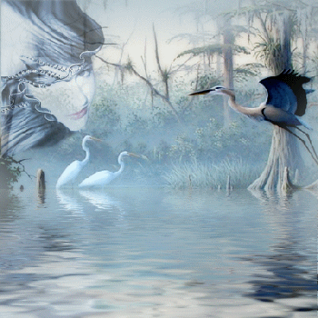 Animowane ptaki: Animowane obrazki i gify - ptaki czaple