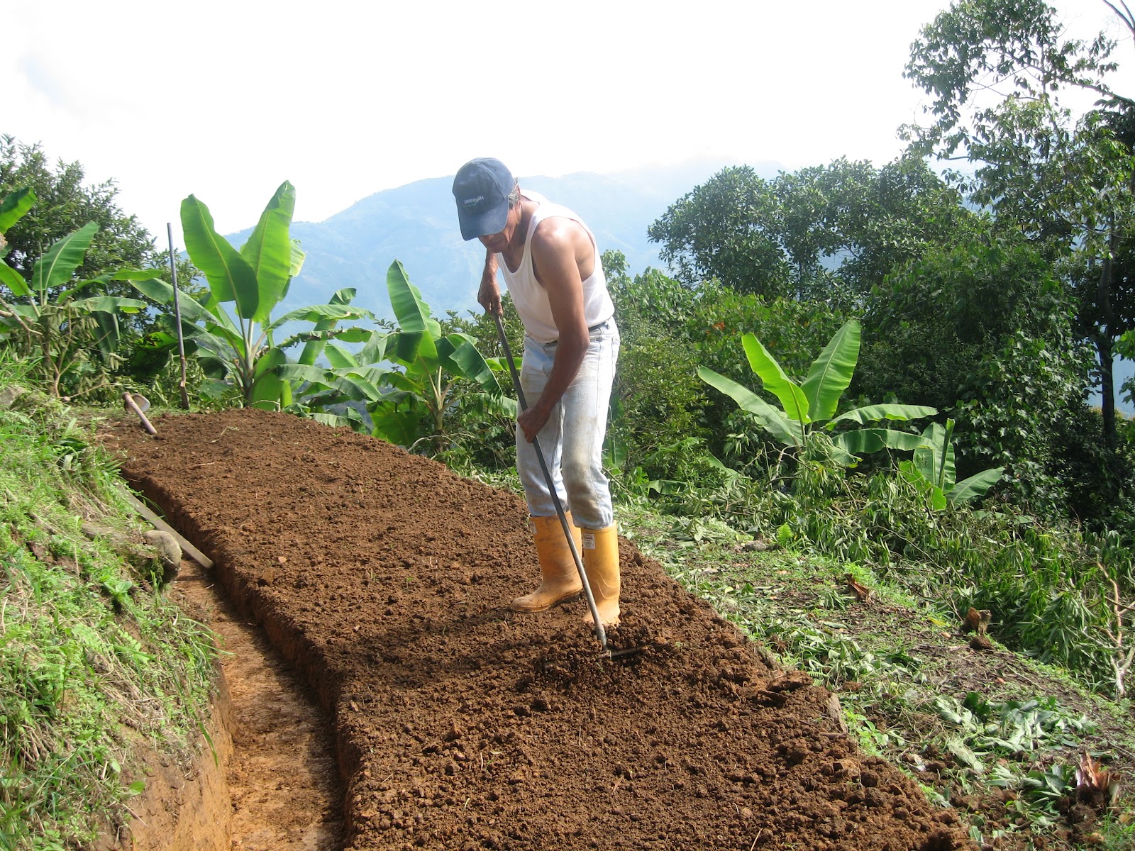 Ensayo de un Compost: junio 2012
