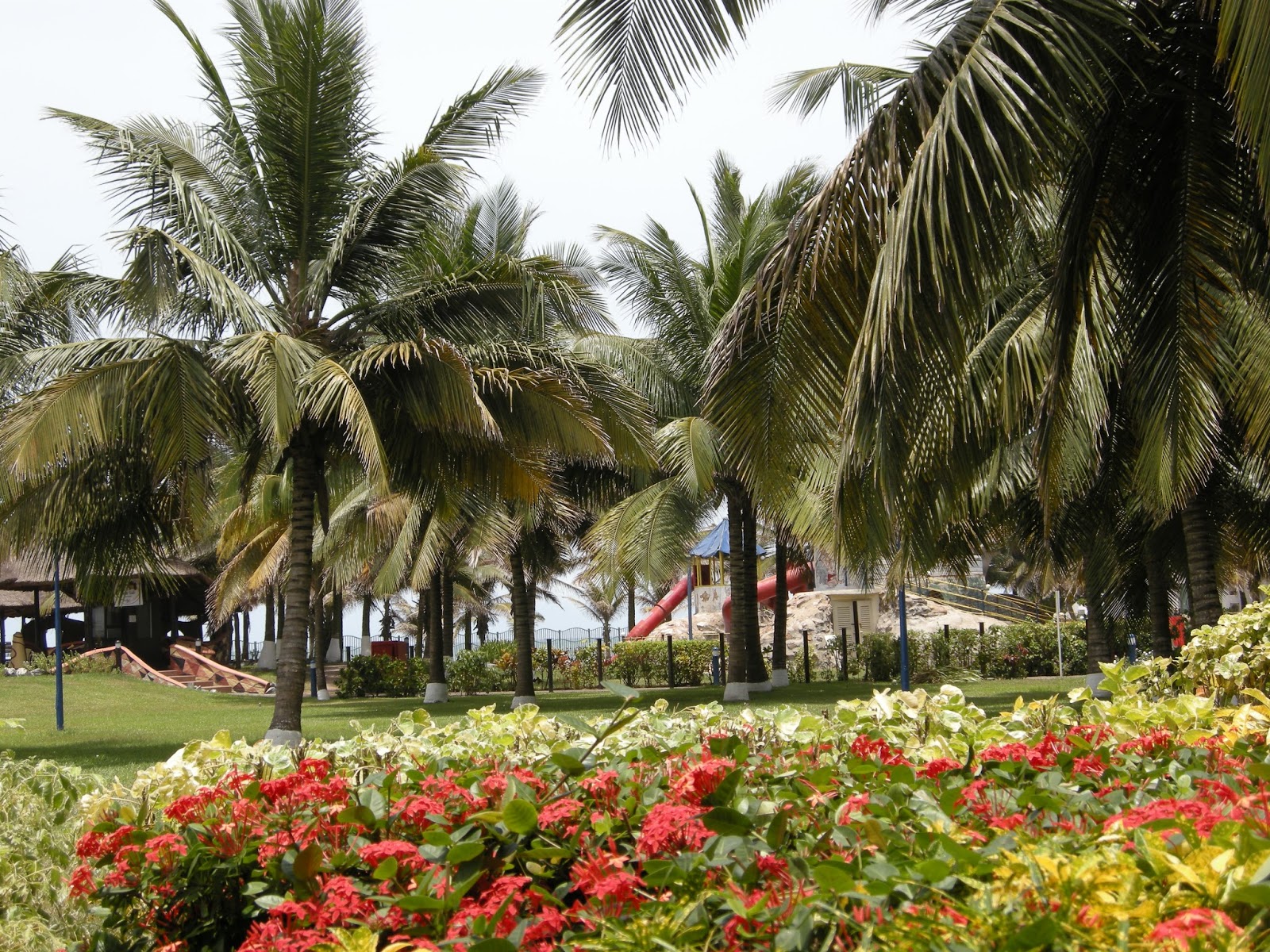 World Cruise: Tema, Ghana