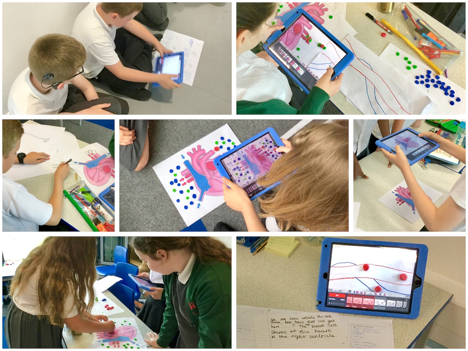 Year 6 Science: The Journey of a Red Blood Cell ~ Hacton News