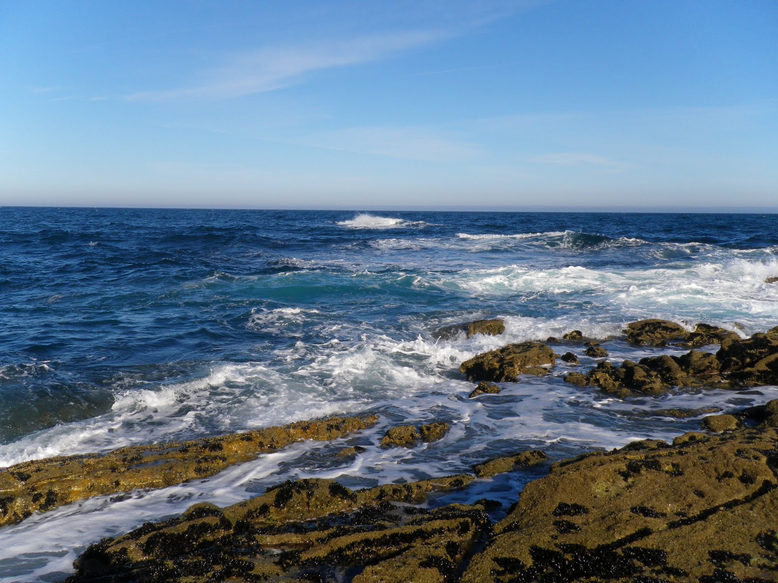 nosolomosca: Jornada de mar y río