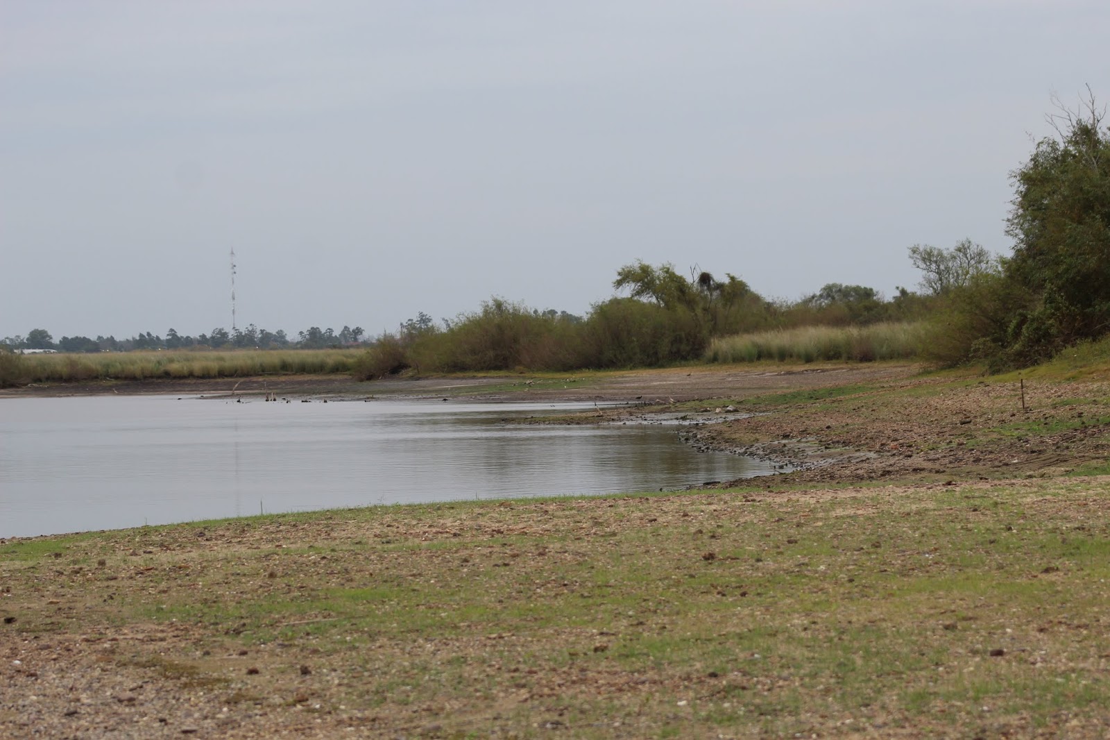 ASOCIACION ECOLOGISTA RIO MOCORETA: EVALUACION DE IMPACTO AMBIENTAL DEL ...