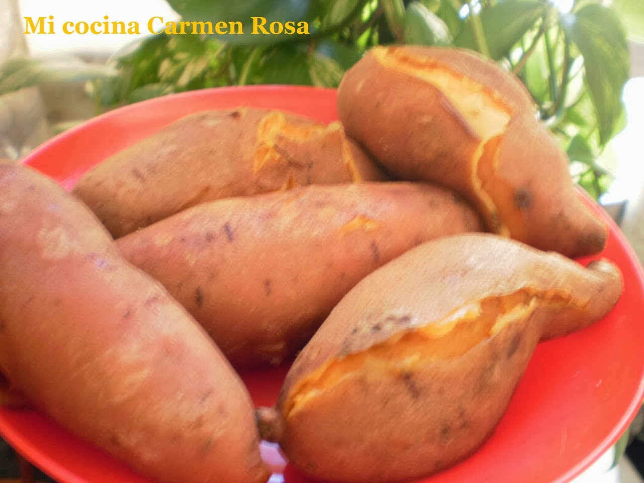 PURÉ DE PAPAS ROSAS DE MALAGA (BATATAS) CON MIEL DE CAÑA DE LA AXARQUIA ...
