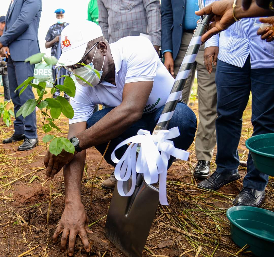 Edo At 30: Why Govt Is Planting 10m Trees
