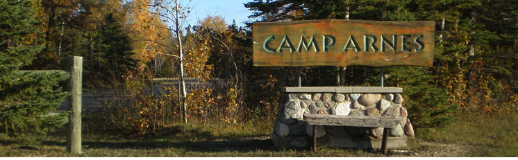 Mrs. Wood's Blog: 2015