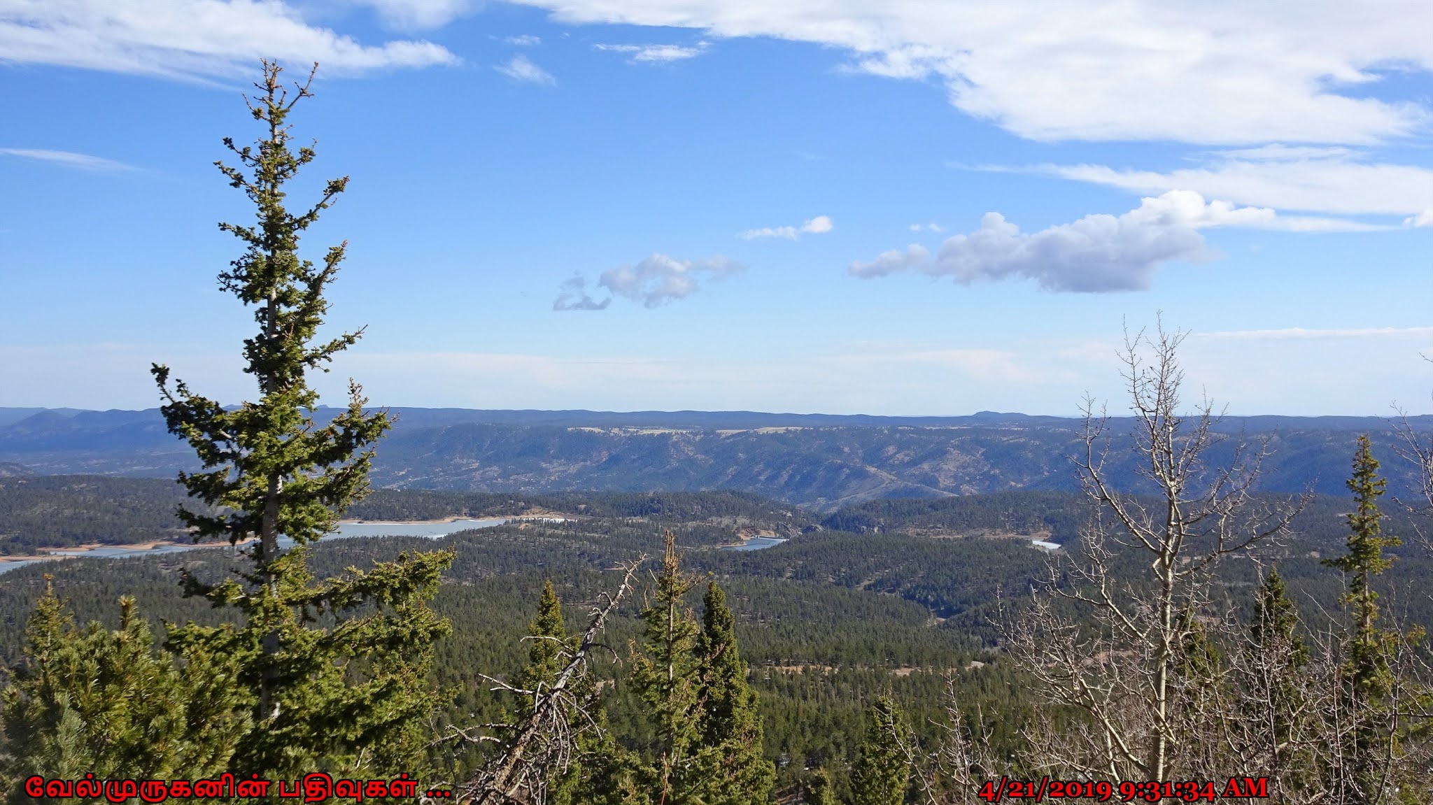 Pike National Forest Colorado - Exploring My Life