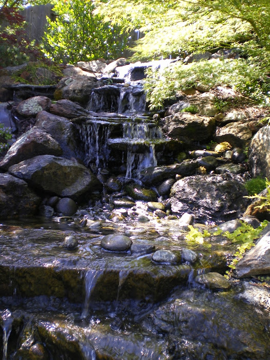 Landscape & Waterfall Creations Inc.