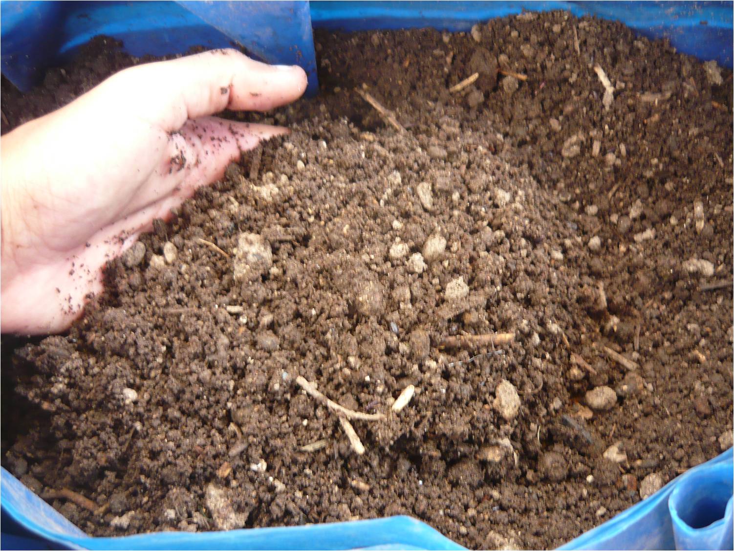 ALTERNATIVA ECOLÓGICA: ¿DE QÚÉ ANIMAL DE GRANJA OBTENGO EL MEJOR ...