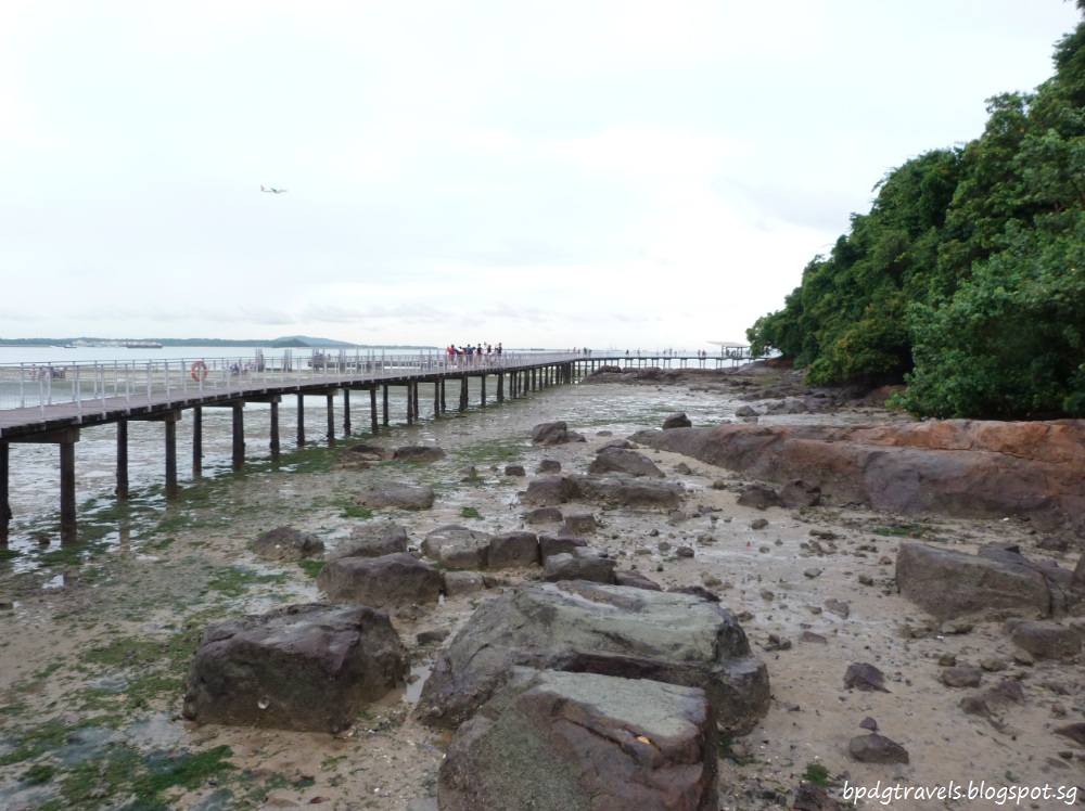 ~ Chek Jawa Wetlands (Low Tide) Guided Tour - Part 3 ~ | BPDGTravels ...