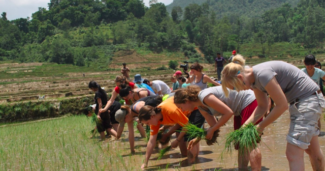 Travel Blog, Nepal Travel Information, Nepal One Tours & Travels ...