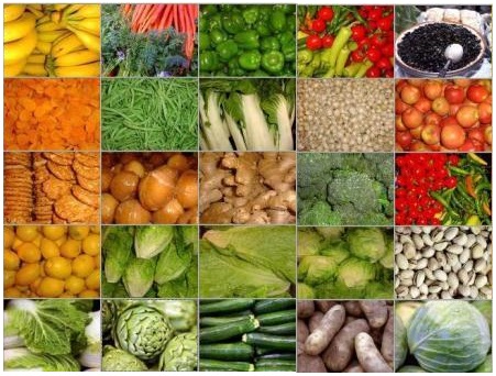 Inilah Peluang Usaha Bidang Agrobisnis Menguntungkan Yang Harus Anda ...