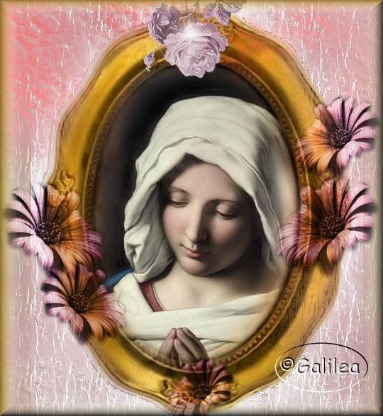 Santa María, Madre de Dios y Madre nuestra: La canción de María