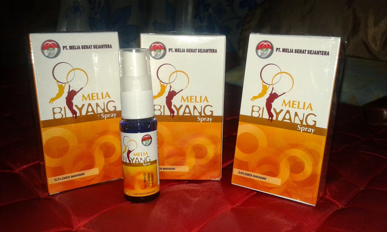 Melia Biyang ~ Perusahaan PT. Melia Sehat Sejahtera