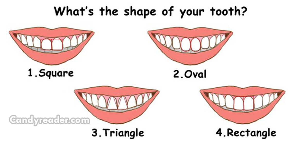What Your Teeth Say About Your Personality - The Discover Reality