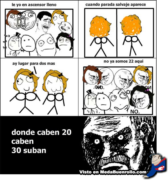 fotos de comedia: THE NEW MEMES 2013