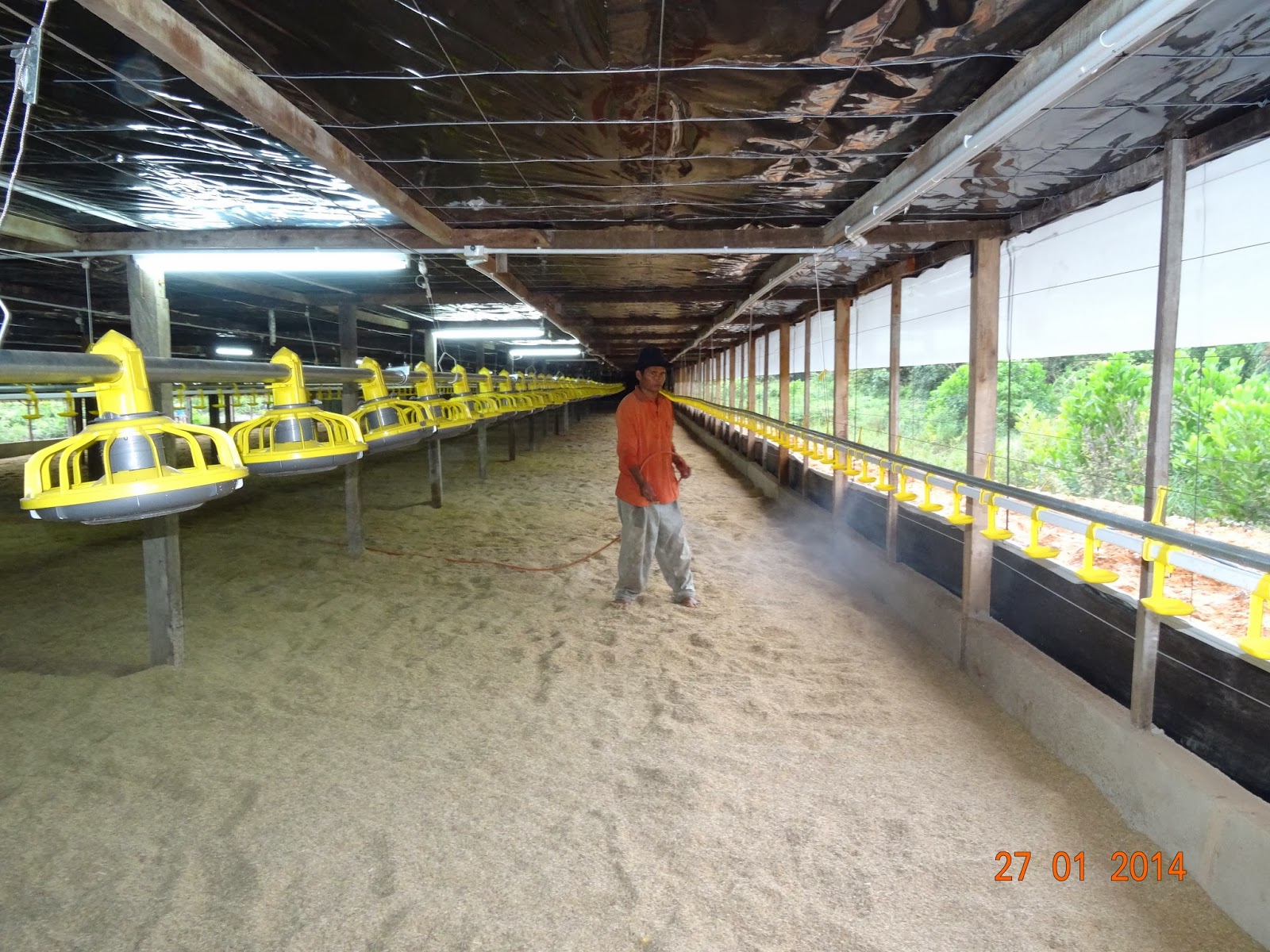 OBO: Pusingan Pertama: Projek Ternakan Ayam Pedaging Sistem Reban ...