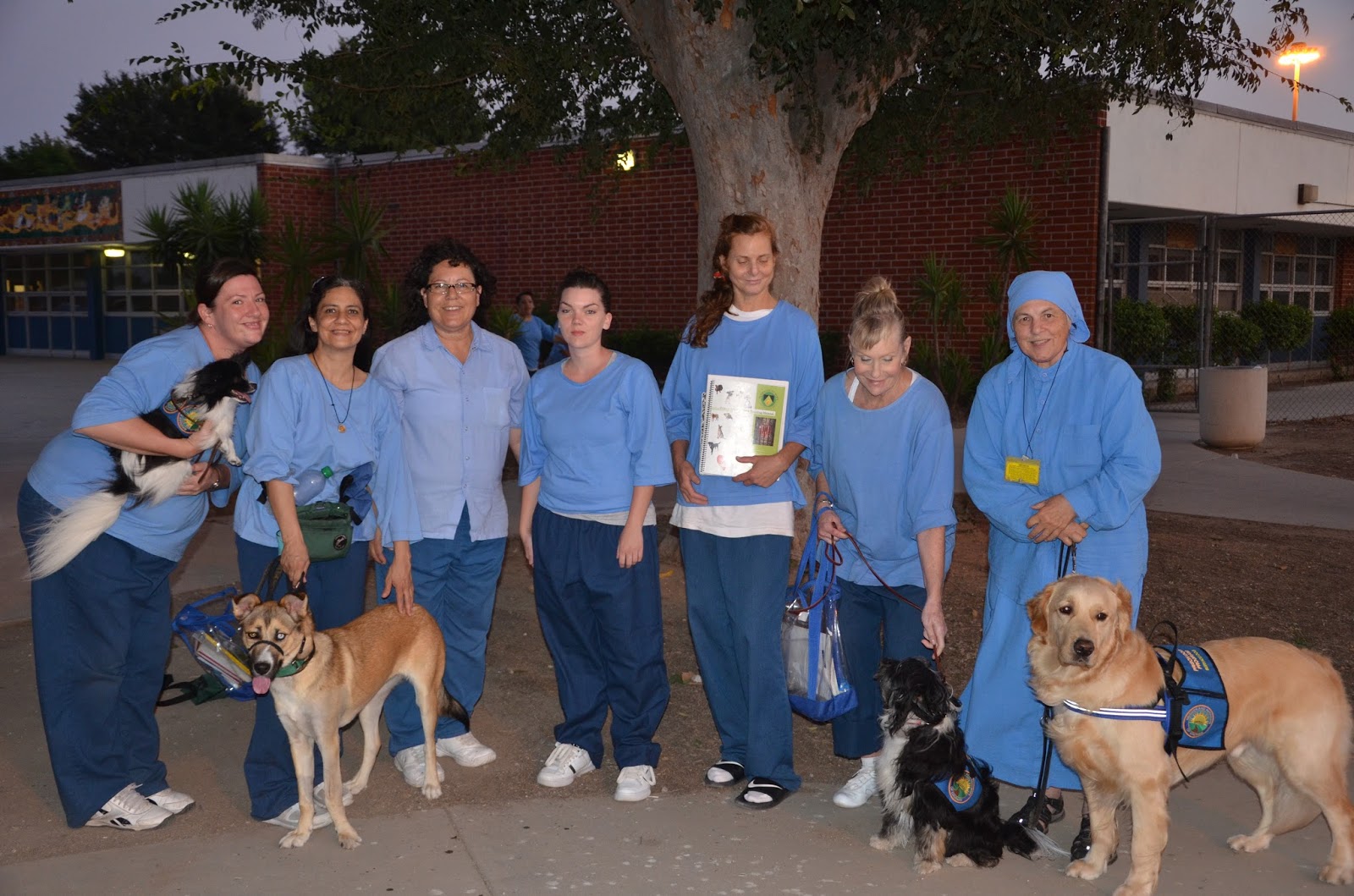 PRISON DOG PROGRAMS ~ BRIDGES and PATHWAYS of COURAGE
