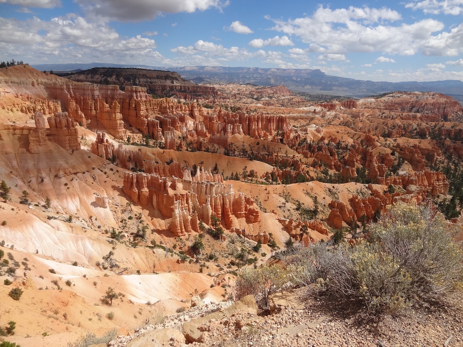 Live and Learn-Toss and Turn: Utah Vacation--Day 5, Bryce