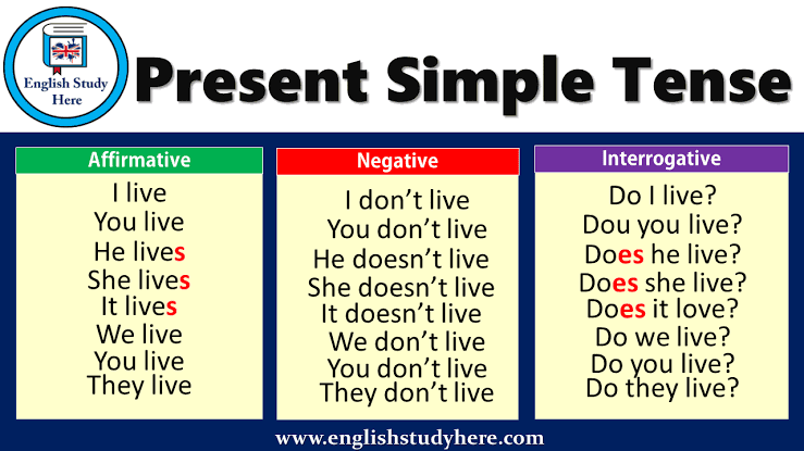 Proyecto Simple Present Negative proyecto-simple-present-negative