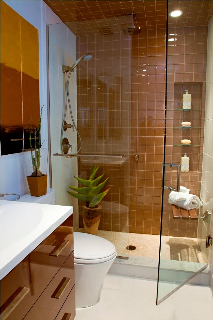 Small Luxury Bathroom Design - Home Decorating Ideas