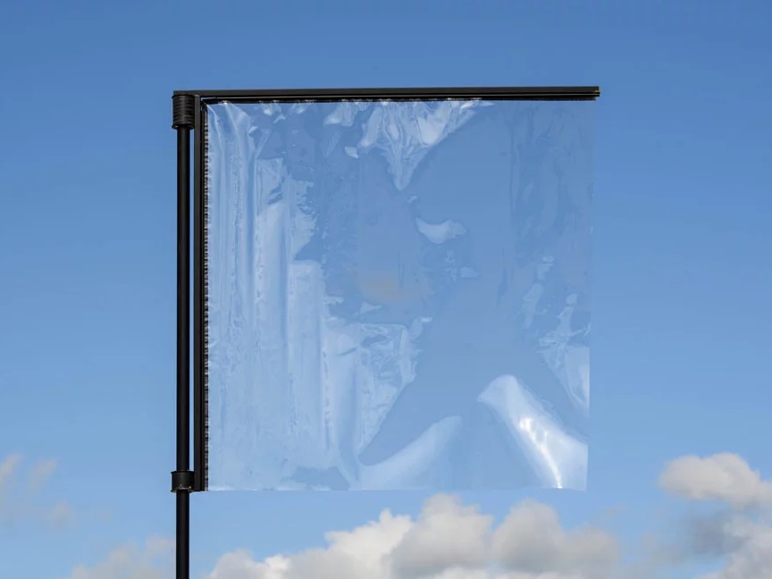 Oh, by the way...: A New Flag For Humanity