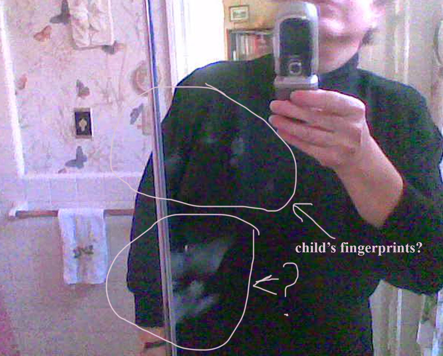 Anita Jo Intenzo-Haunted Author: GHOSTLY OR DEMONIC HAND PRINTS