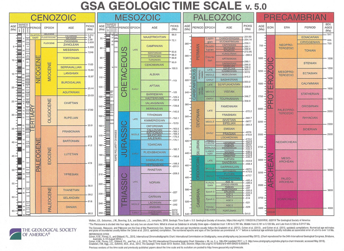 XXII _________________________ Science Stufff Review ...