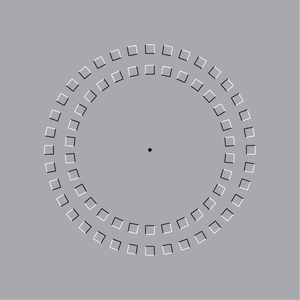 25 Optical Illusion Pictures That Make You Feel Dizzy | Fact Fab Planet