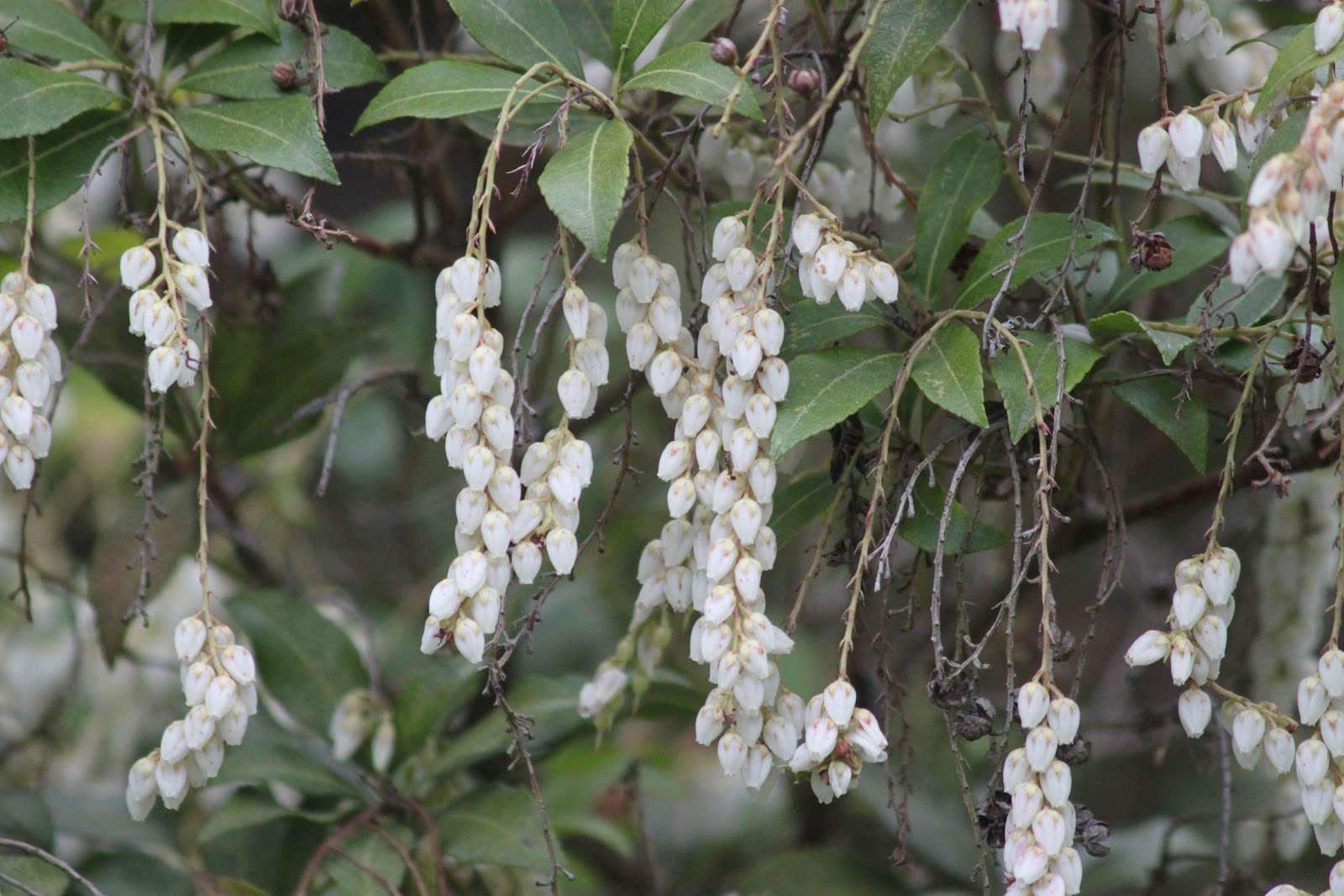 Pat's Addition: April 2012