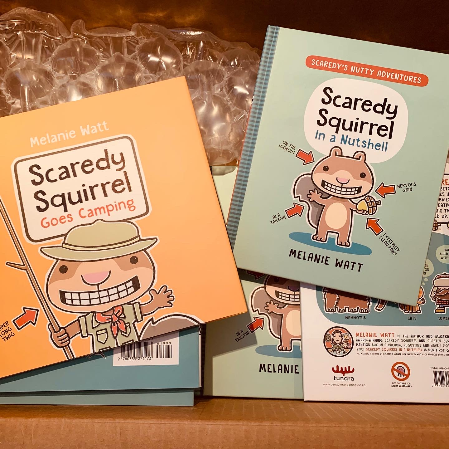 Scaredy Squirrel Goes Camping