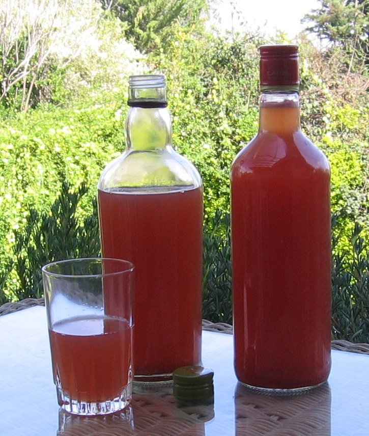 Eating Chilean: Chilean Chicha