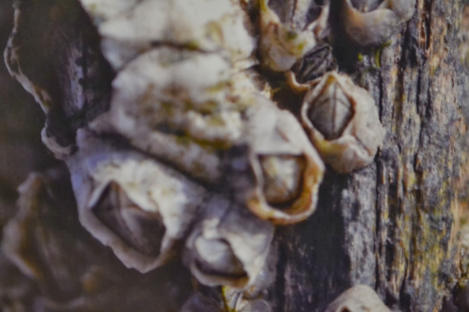 Unit 78: Digital Graphics for Computer Games