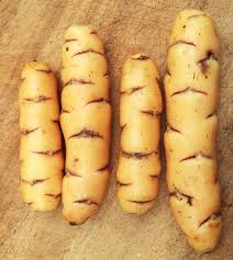 Como preparar unas ocas al horno | Recetas de comida