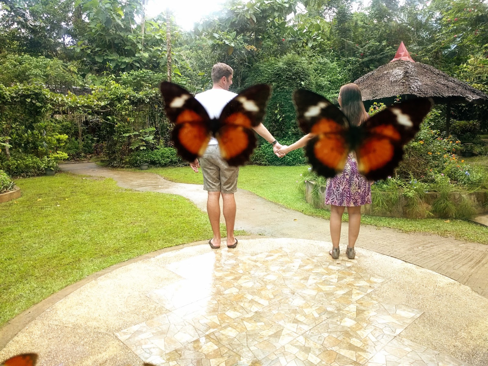 Bohol Tour - Butterfly Sanctuary | Christine Loves to Travel