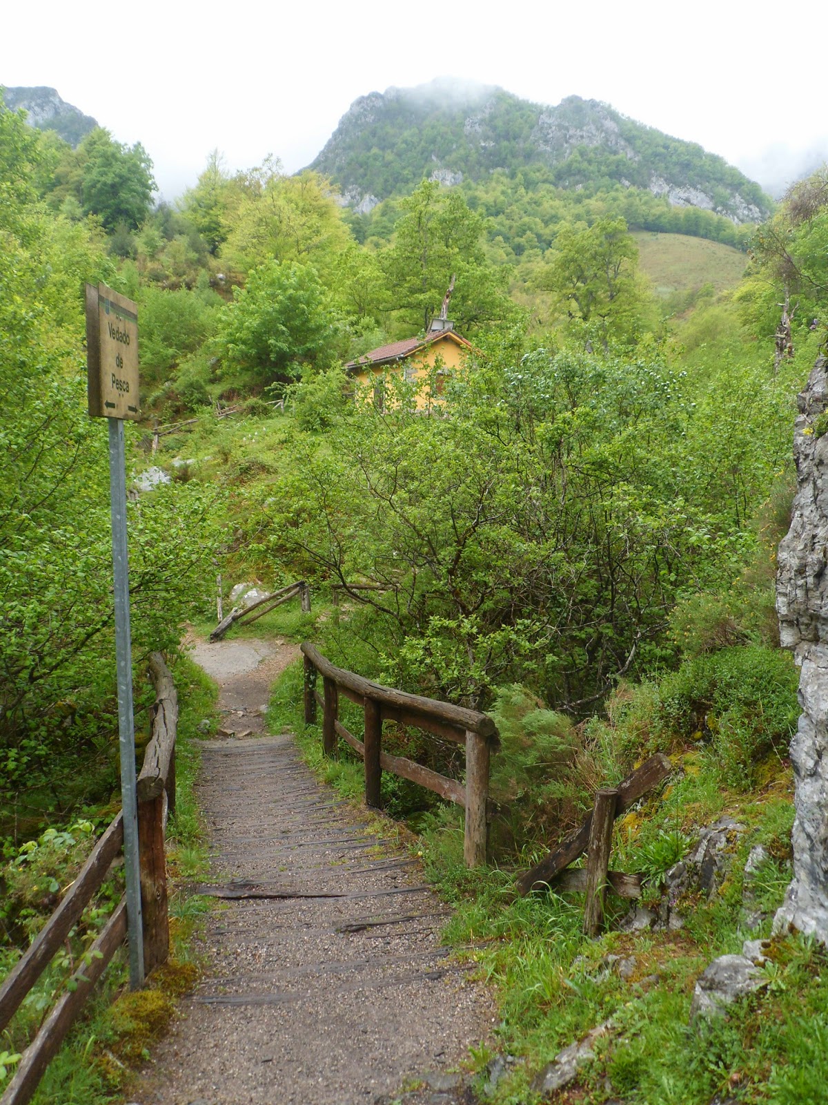 Senda BTT: P.R. AS-62 Ruta del Alba (Monumento Natural) y P.R. AS-165 ...