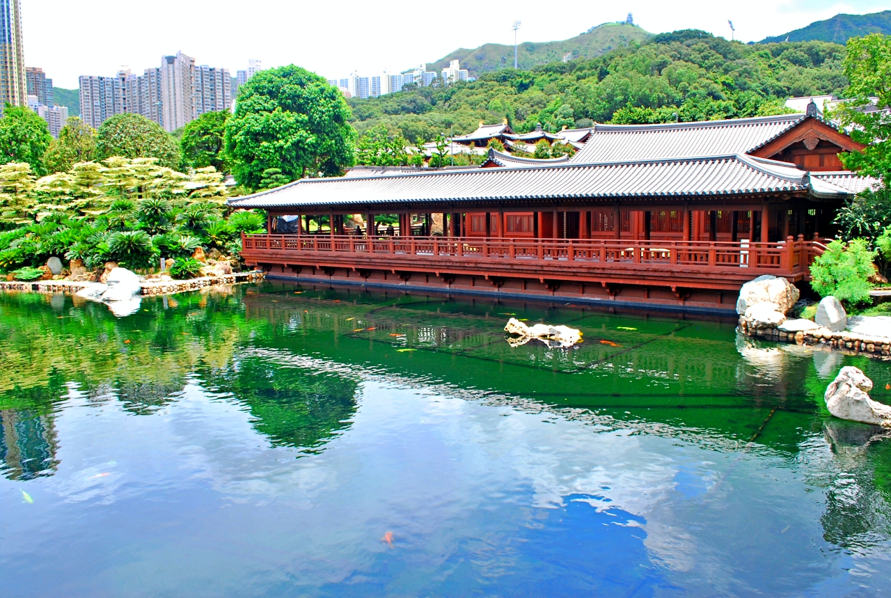 Chi Lin Nunnery and Nan Lian Garden | Hong Kong - Nomadic Experiences