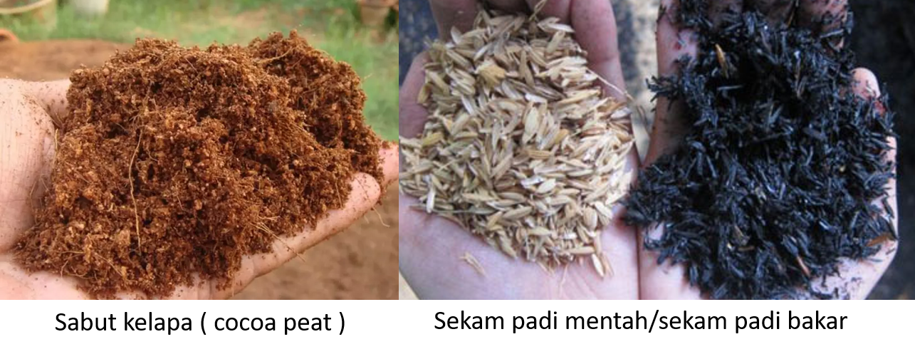 CAMPURAN MEDIA TANAMAN YANG BAIK