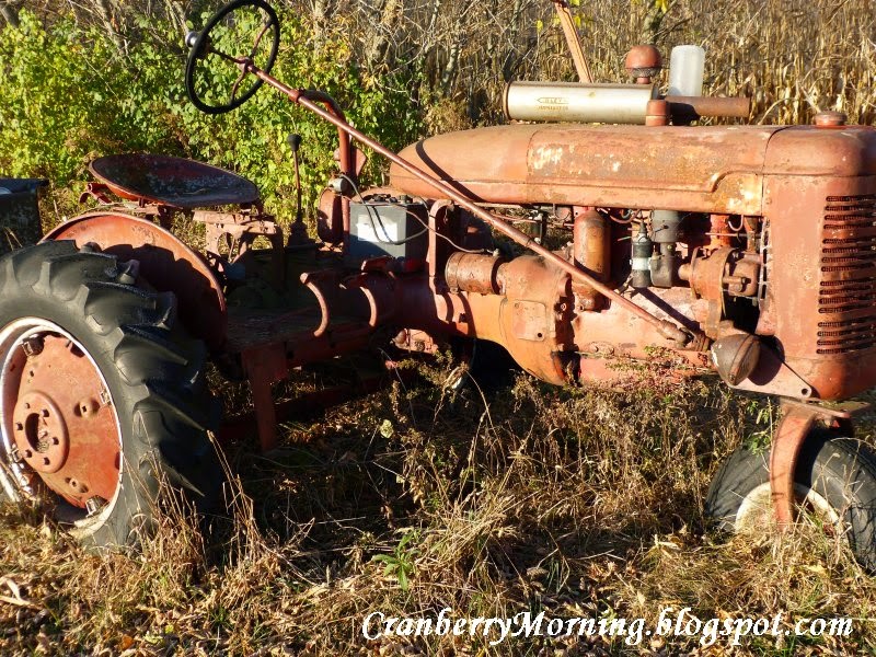 Cranberry Morning: Vintage Rusty Stuff, Wisconsin Barns, and Grandsons