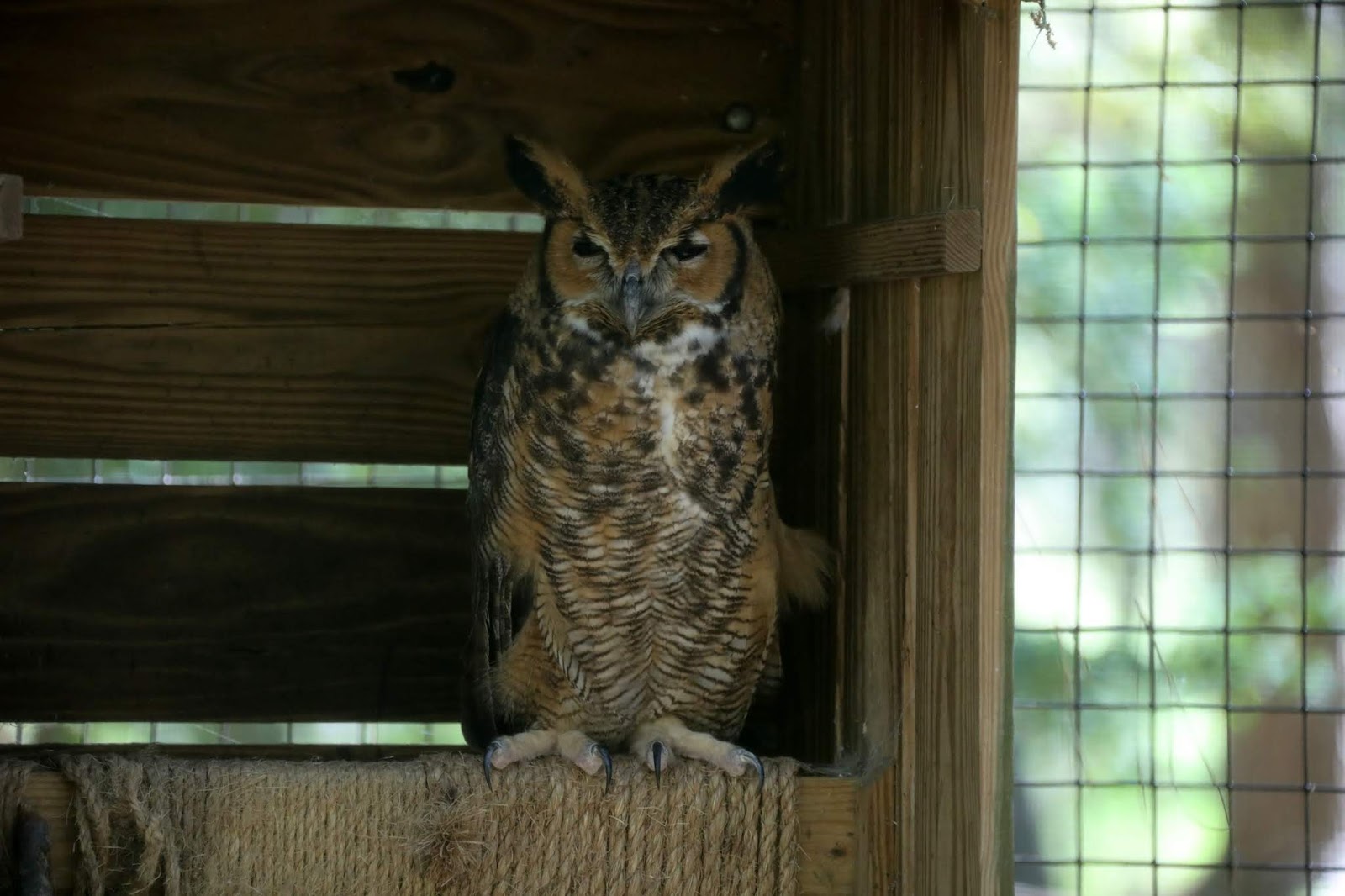 My Kampah: 4/11/19 GreenBrook Garden