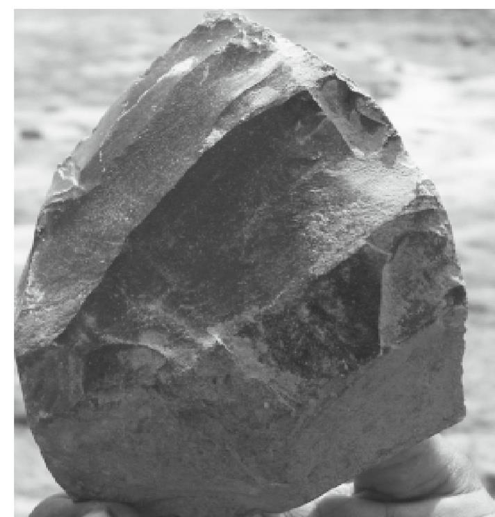 Middle Stone Age Sites from Eritrean Red Sea Coast: Perspectives on ...