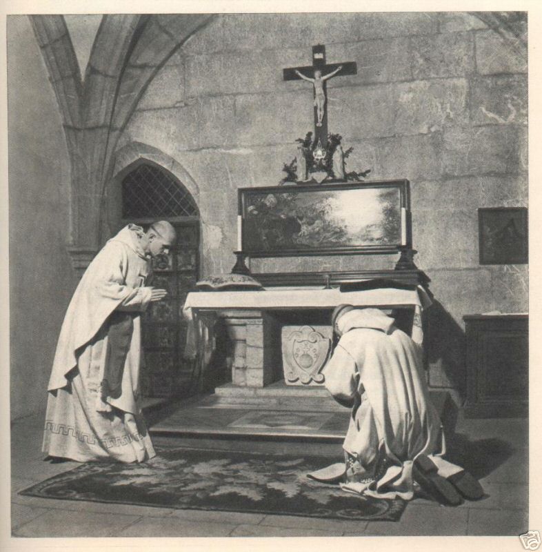 Traditional † Catholicism: Meaning of Indulgentiam, Absolutionem, et ...