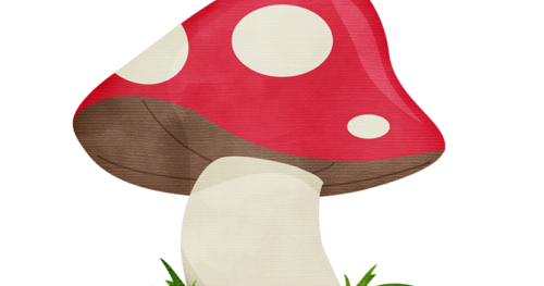 ® Colección de Gifs ®: IMÁGENES DE HONGOS