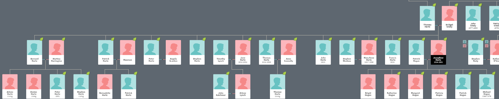 O'Grady Family: G2: Thomas Harte and Bridget Grady