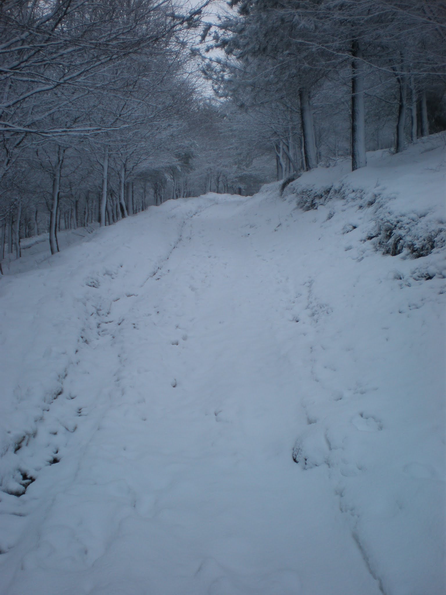 Zubero: Año de nieves... Ganekogorta, Arrabatxu y Pagero para empezar ...