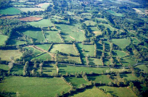 blogs de sociales de francisco javier: bocage